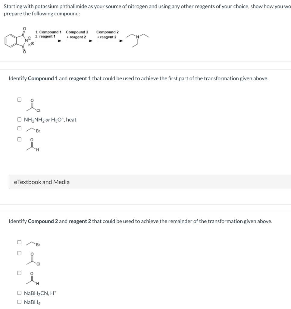 Solved Starting with potassium phthalimide as your source of | Chegg.com