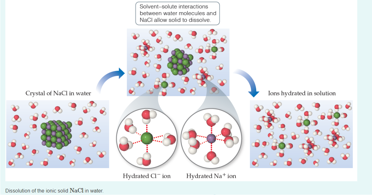 Solved Dissolution of the ionic solid NaCl in water.Which | Chegg.com