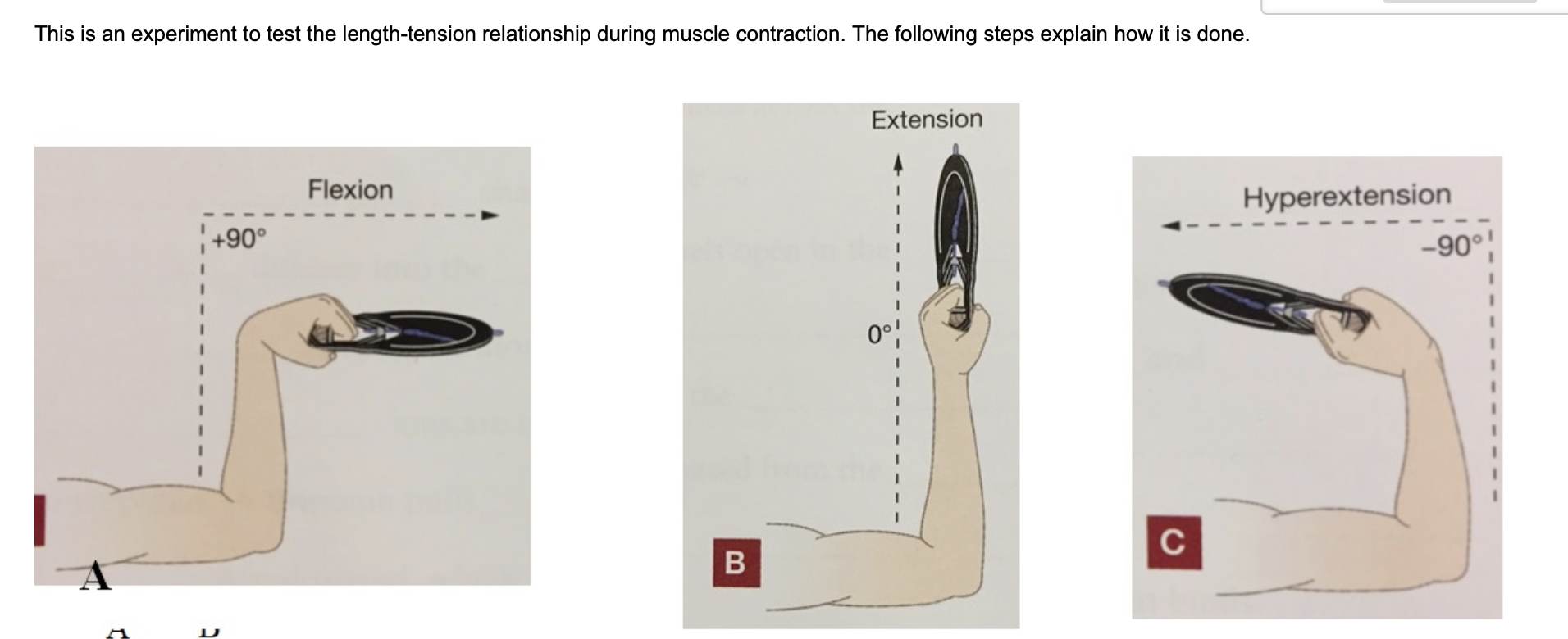 Solved 1. Position your arm and wrist shown in figure A, | Chegg.com