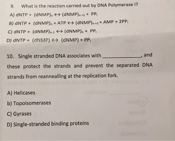 Solved 9. What is the reaction carried out by DNA Polymerase | Chegg.com