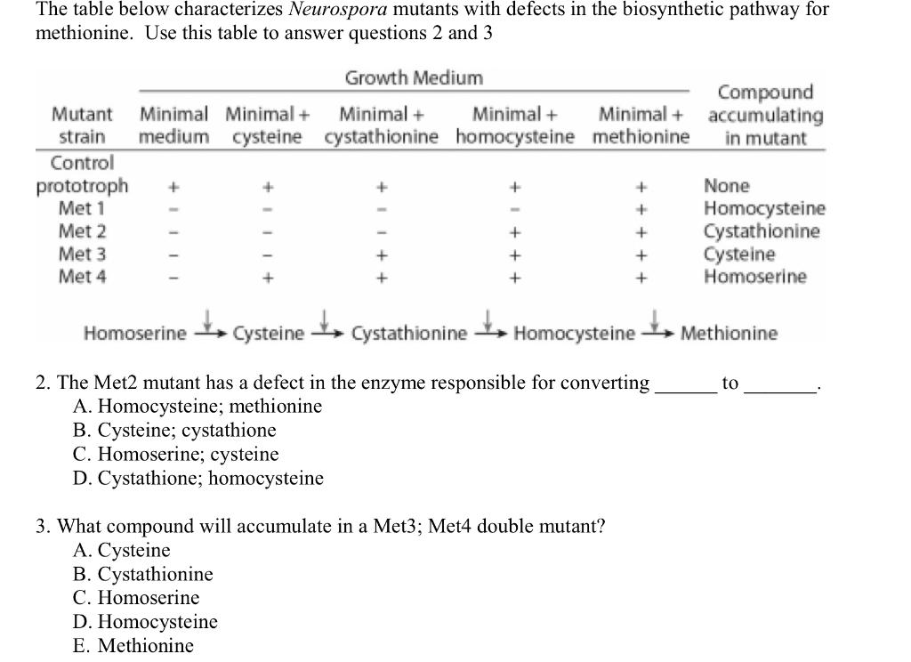 Solved The table below characterizes Neurospora mutants with | Chegg.com