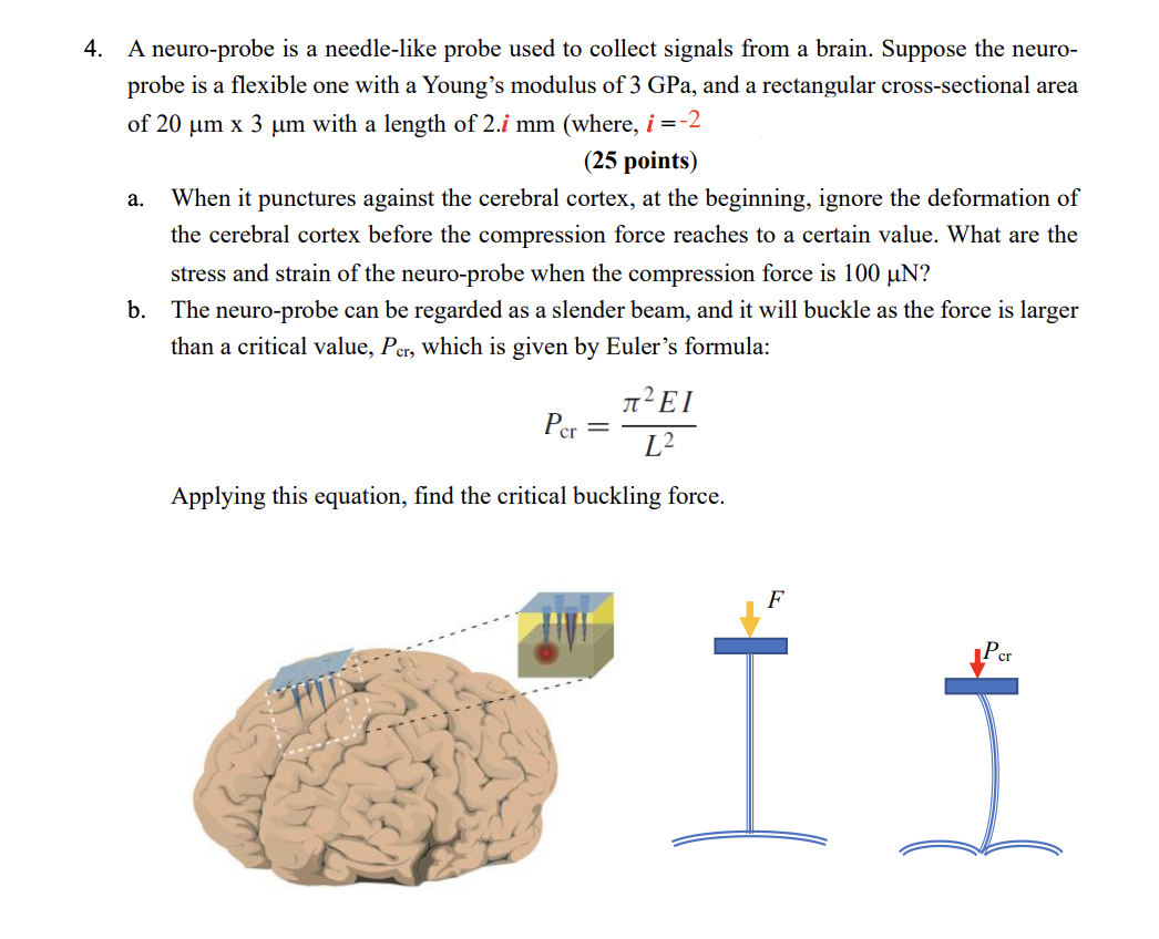 Solved a. 4. A neuro-probe is a needle-like probe used to | Chegg.com