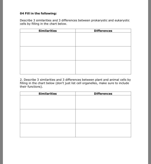 Solved 04 Fill in the following: Describe 3 similarities and | Chegg.com