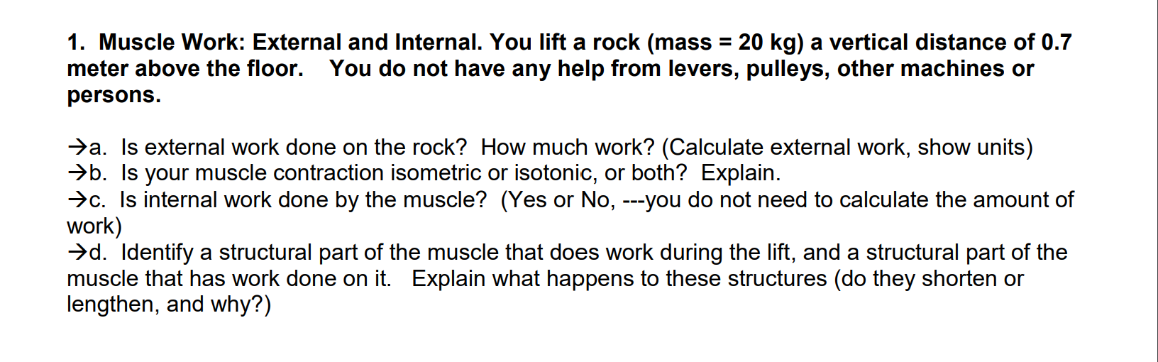 Solved 1. Muscle Work: External and Internal. You lift a | Chegg.com