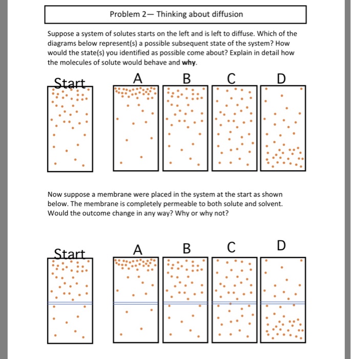 Solved Problem 2- Thinking about diffusion Suppose a system | Chegg.com
