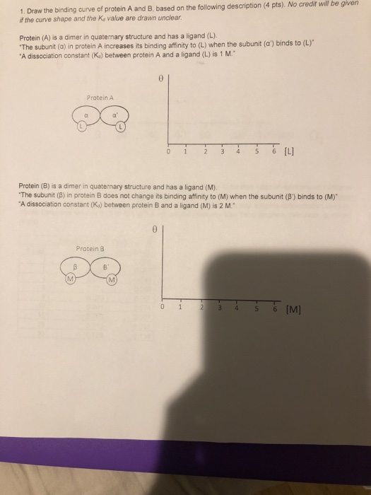 1Draw the binding curve of protein A and B, based on | Chegg.com