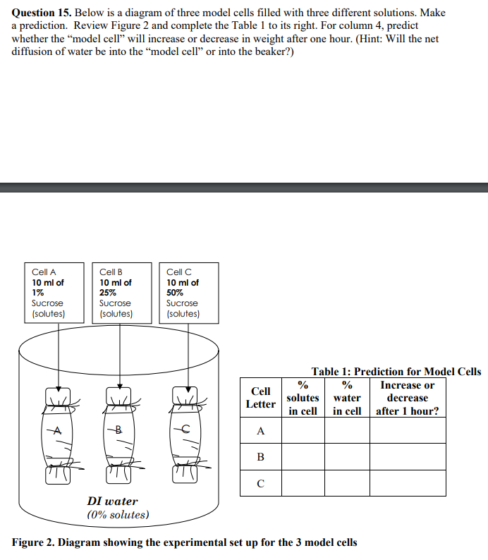 Solved Question 15. Below is a diagram of three model cells | Chegg.com