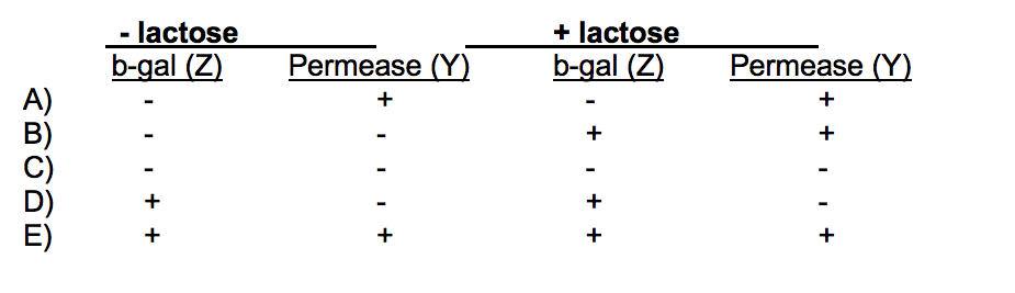 Solved Predict the outcome of the following merodiploid lac | Chegg.com