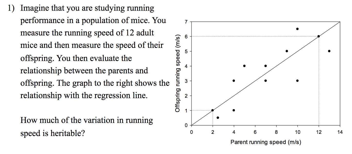 Solved Regression of parent-offspring phenotype 2) You are | Chegg.com