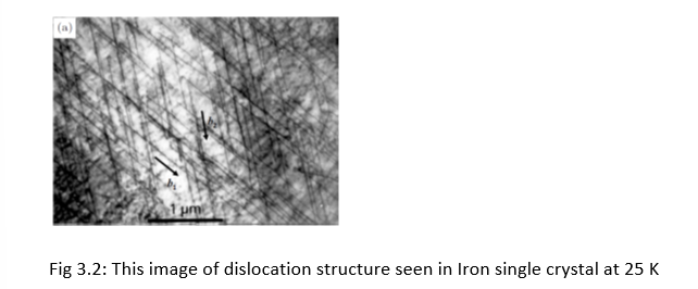 Solved Below are images of different | Chegg.com