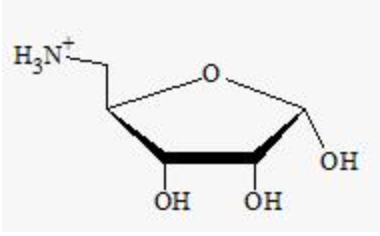 The sugar shown below is a modified form of one of | Chegg.com