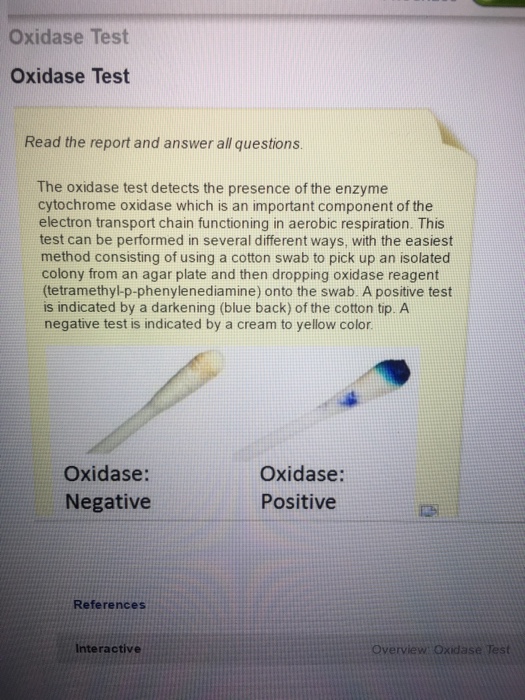 Oxidase Test