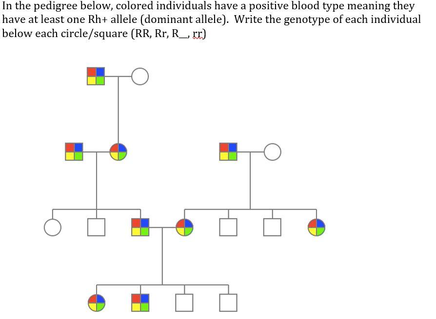 Solved In the pedigree below, colored individuals have a | Chegg.com