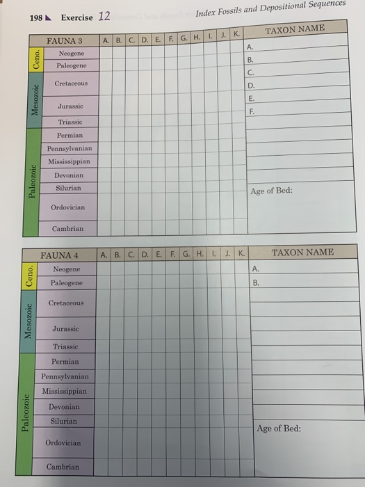 Exercise 12 Index Fossils and Depositional Sequences. | Chegg.com