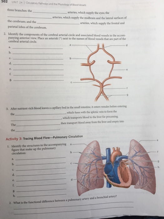 Solved Post lab quizzes are also assignable n MasteringA&P | Chegg.com Solved Post lab quizzes are also assignable n MasteringA&P | Chegg.com
