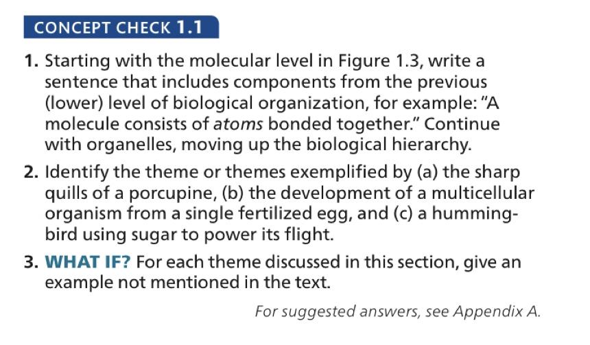 1. Starting with the molecular level in Figure 1.3, | Chegg.com