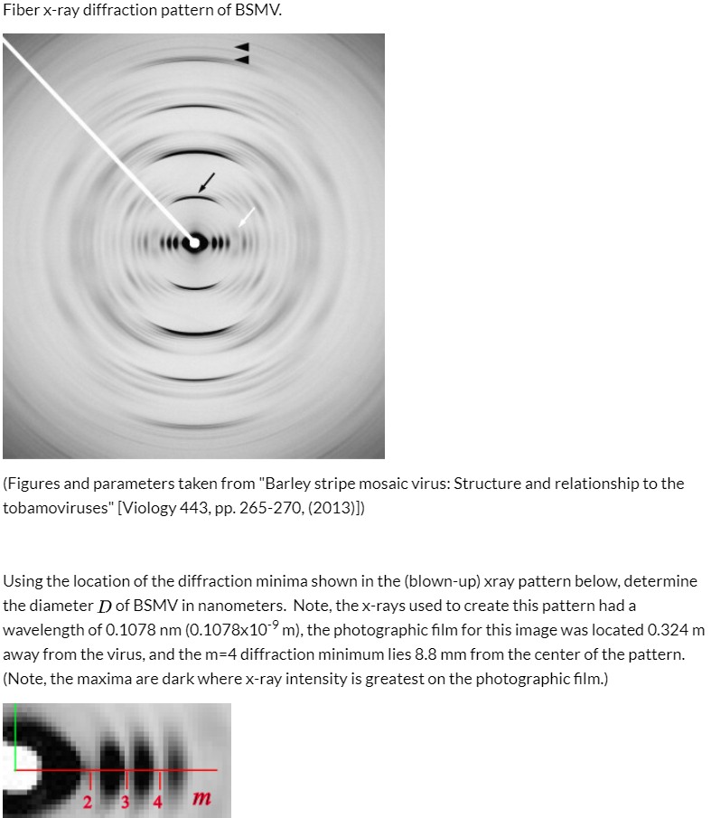 Solved Let us now characterize some structural aspects of a | Chegg.com