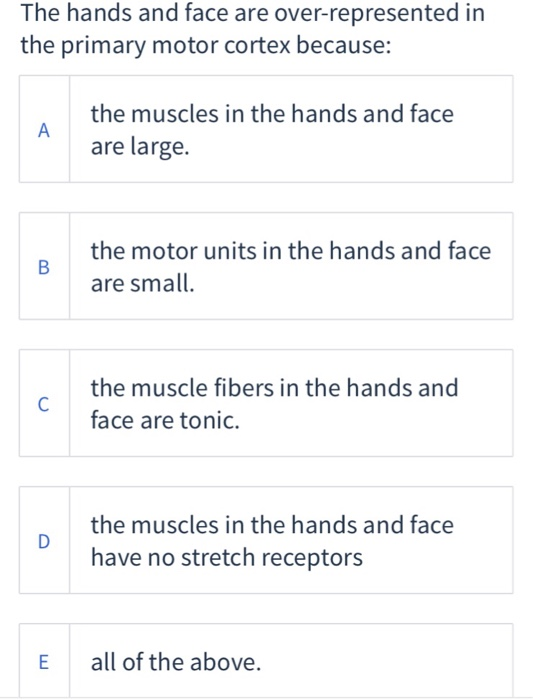 Solved The hands and face are over-represented in the | Chegg.com