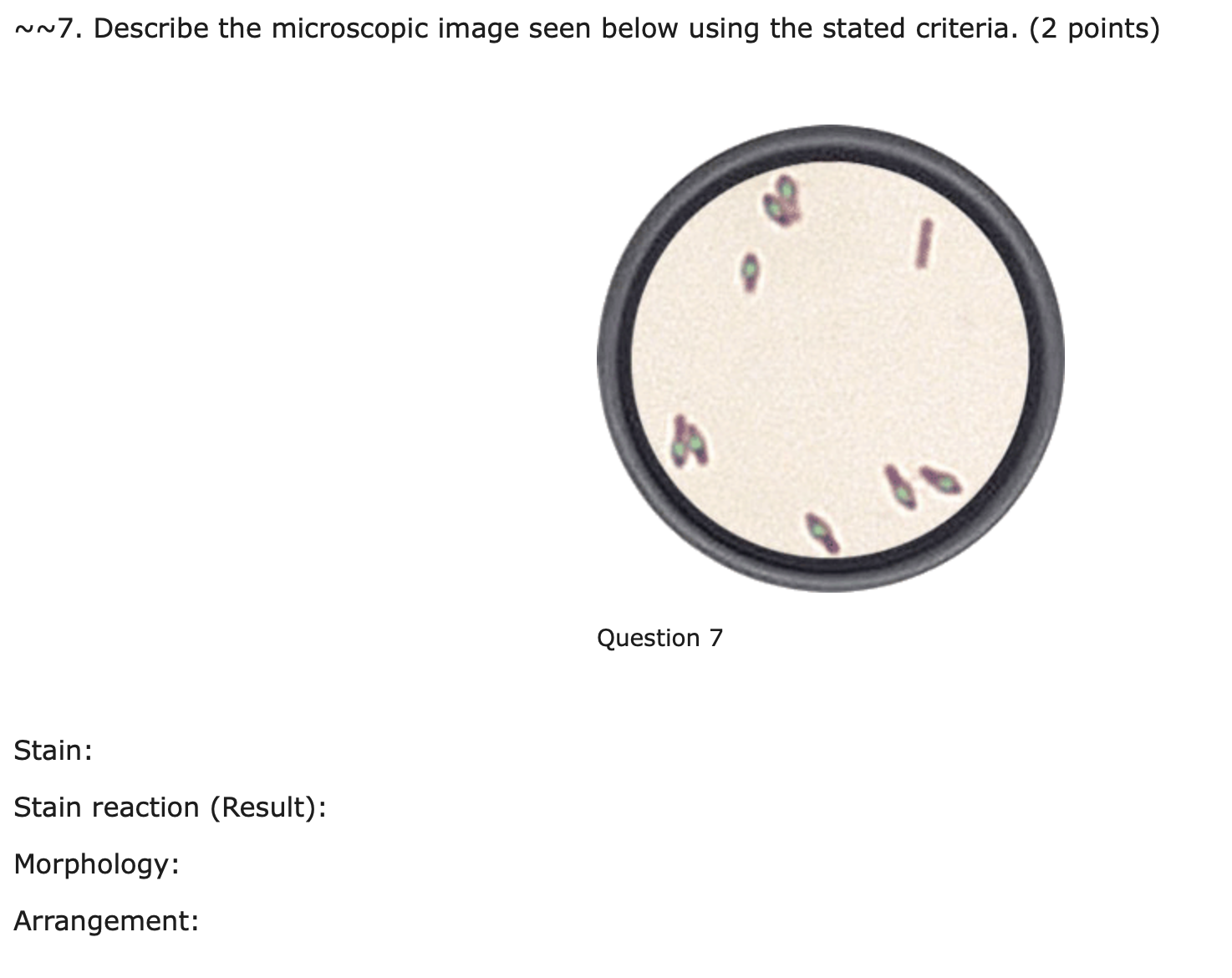 Solved 6. Describe the microscopic image seen below using | Chegg.com