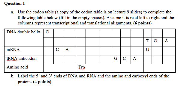 Solved Question 1 a. Use the codon table (a copy of the | Chegg.com