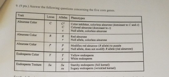 Solved 9. (9 pts.) Answer the following questions concerning | Chegg.com
