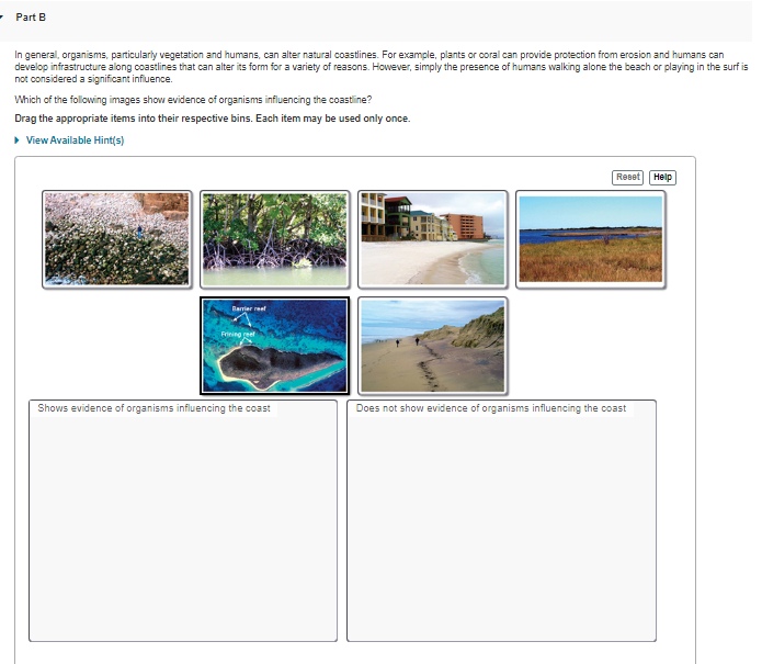 Solved In general, organisms, particularly vegetation and | Chegg.com