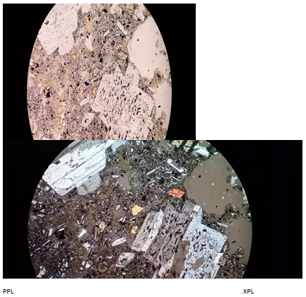 Solved PPL XPL | Chegg.com