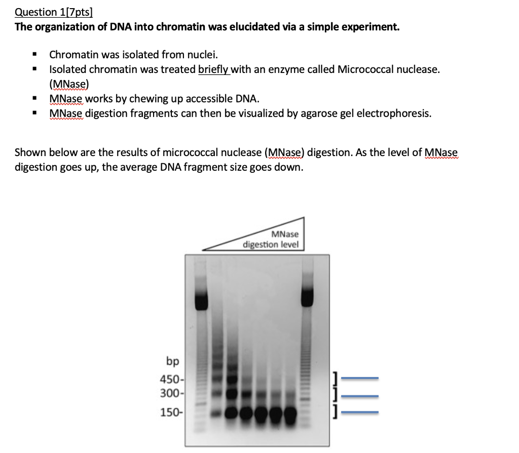 Solved Question 1[7pts] The organization of DNA into | Chegg.com