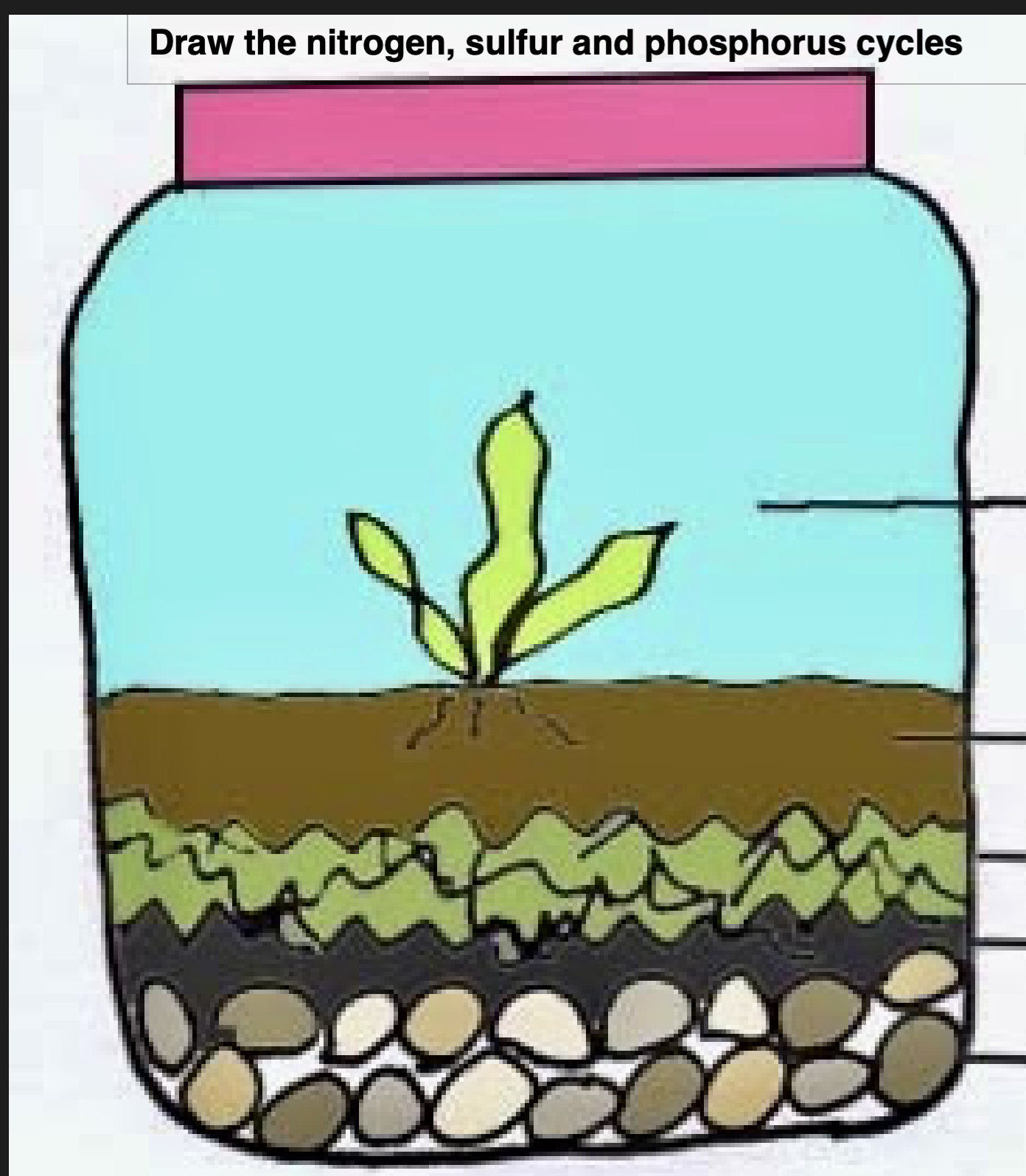 Solved Draw the nitrogen, sulfur and phosphorus cycles in | Chegg.com Solved Draw the nitrogen, sulfur and phosphorus cycles in | Chegg.com