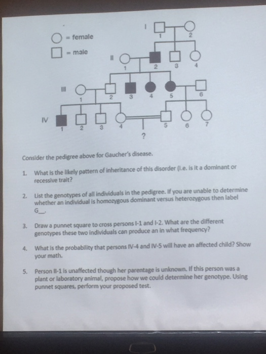 Solved O -female 2 3 5 6 5 Consider the pedigree above for | Chegg.com
