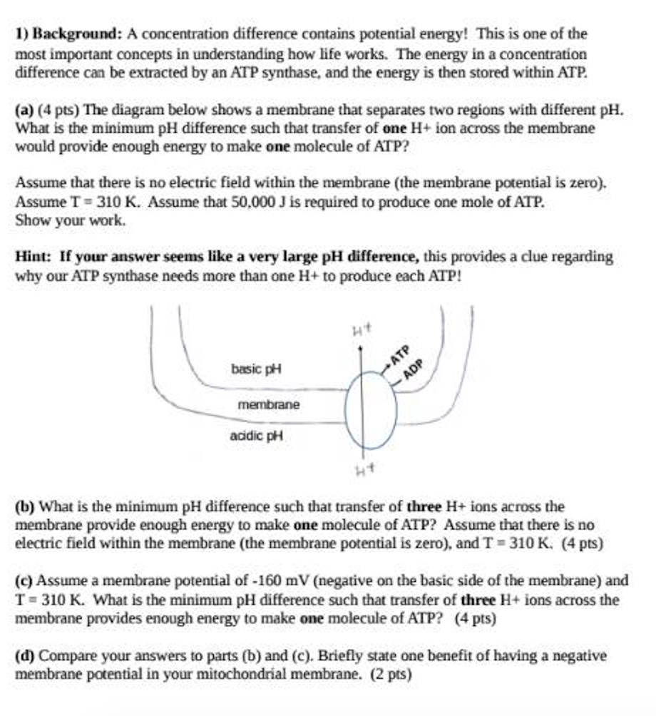 1) Background: A concentration difference contains | Chegg.com