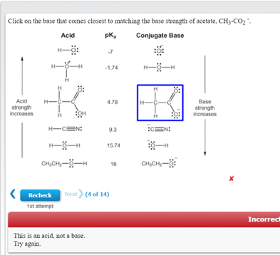 Solved Click on the base that comes closest to matching the | Chegg.com