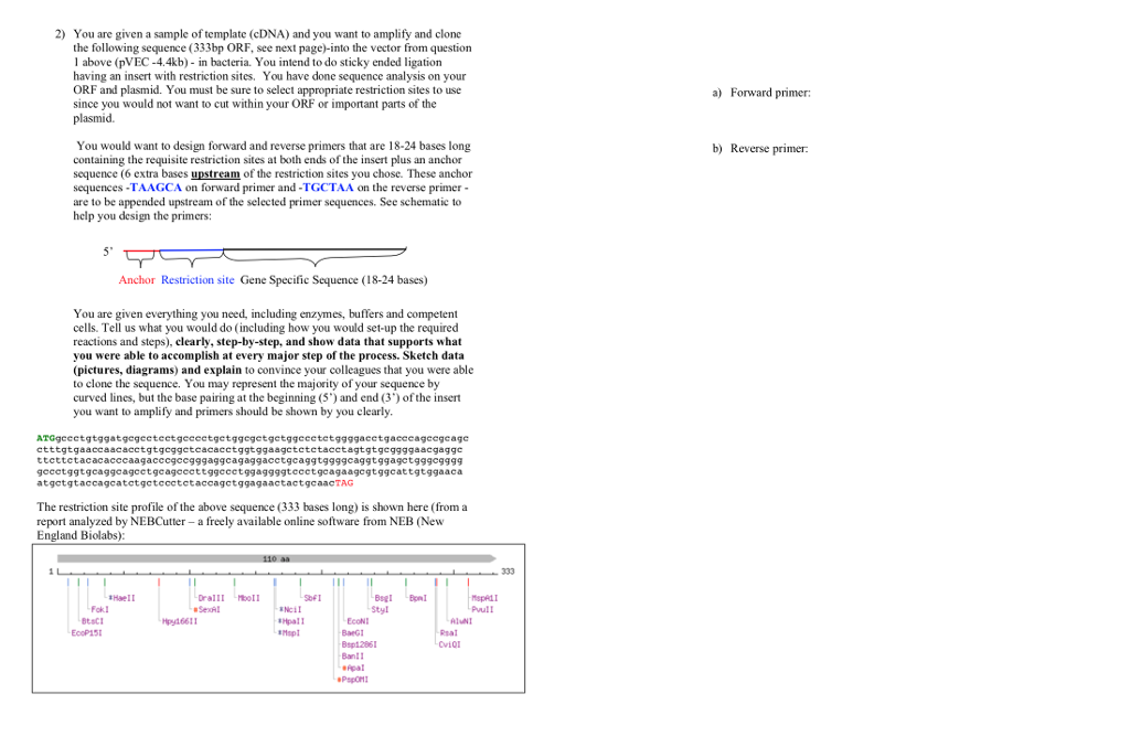 Solved 1) You intend to use plasmid pVEC-4kb (4.4kb in size | Chegg.com