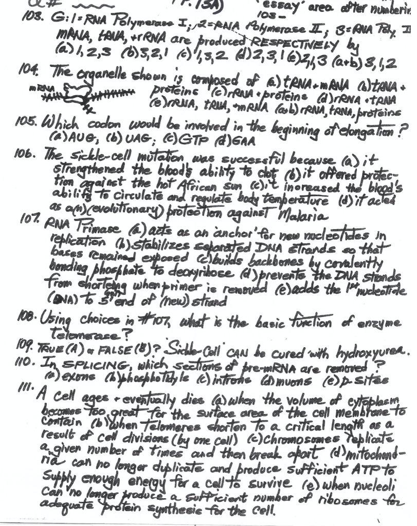 Solved RAM essay' area after numberiv. 103. G:loRNA | Chegg.com
