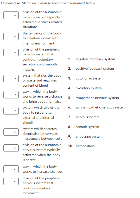 Solved Homeostasis-Match each item to the correct statement | Chegg.com