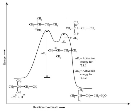 Solved Please draw (ON PAPER) ﻿the potential energy diagram | Chegg.com