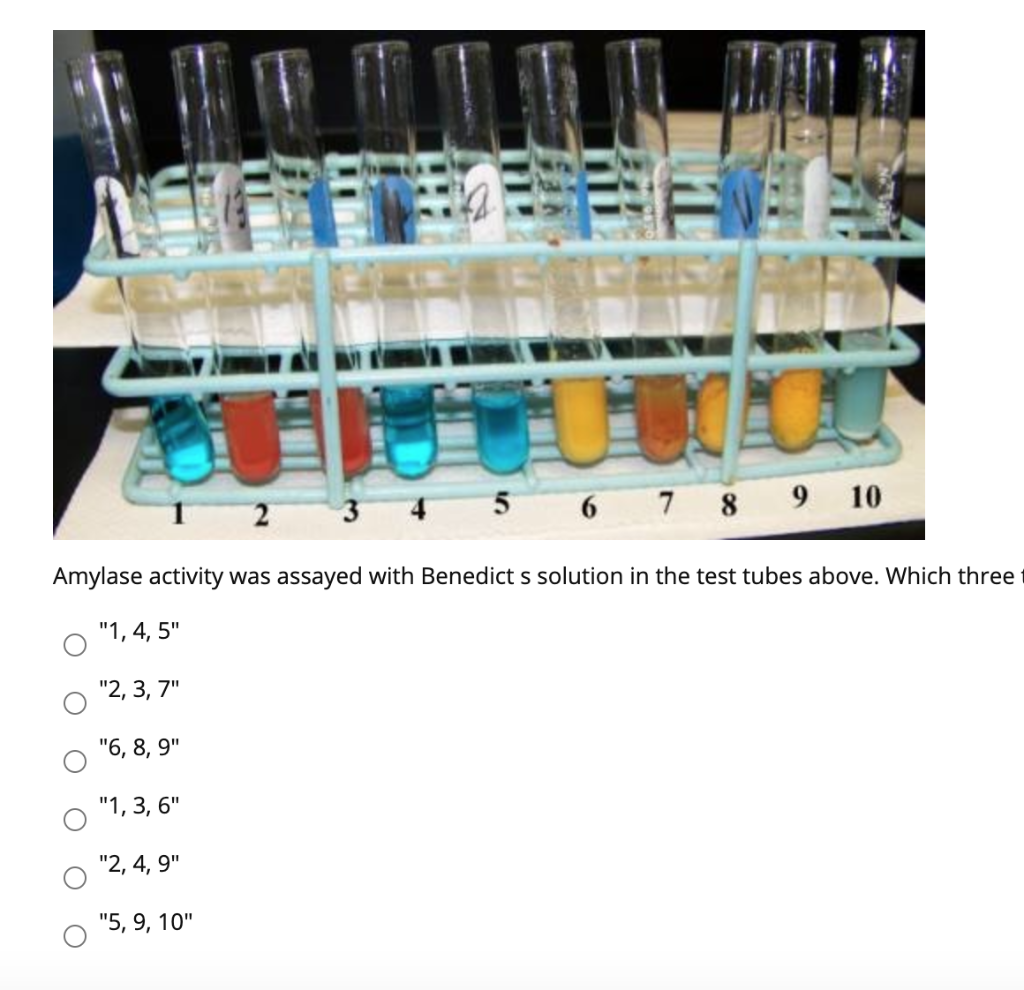 Solved amylase activity was assayed with benedicts solution | Chegg.com