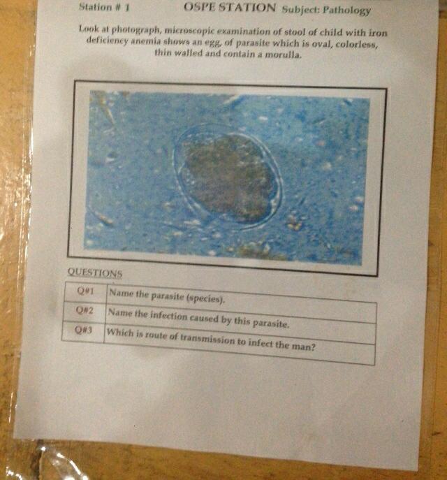 Solved Station #1 OSPE STATION Subject: Pathology Look at | Chegg.com