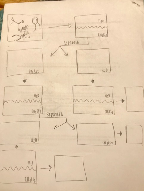Solved Propose an Extraction Flowchart capable of separating | Chegg.com