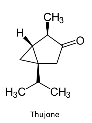 Solved Thujone | Chegg.com
