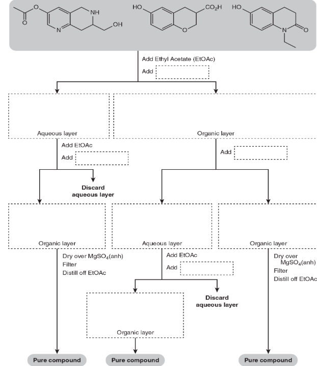 Solved но CO2H HO NH OH Add Ethyl Acetate (EtoAc) Add | Chegg.com