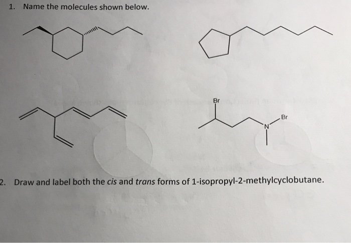 Solved 1. Name the molecules shown below Br Br 2. Draw and | Chegg.com