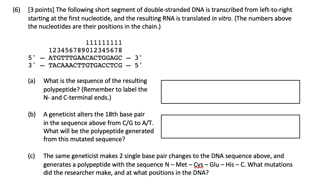 Solved (6) [3 points] The following short segment of | Chegg.com