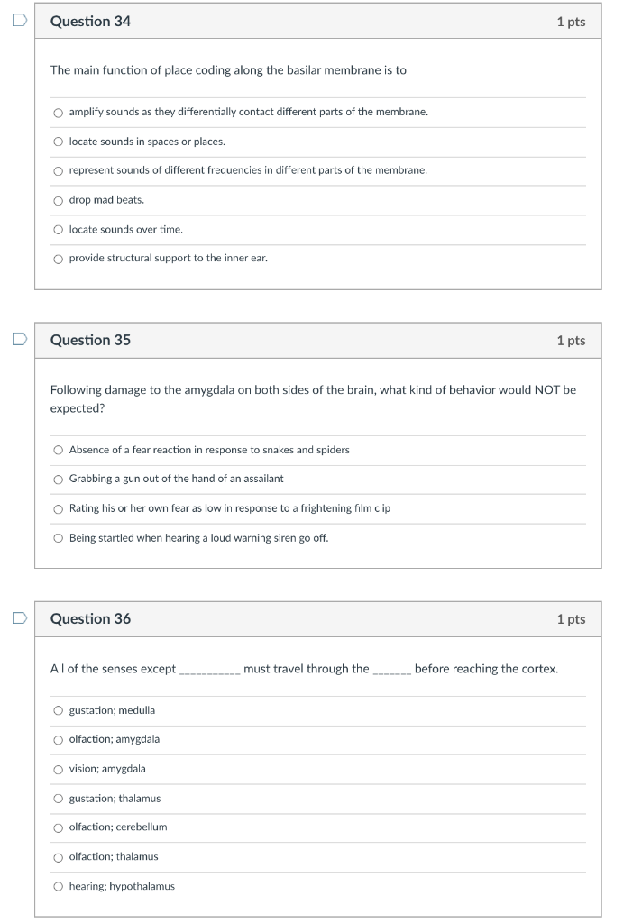 Solved D Question 34 1 pts The main function of place coding | Chegg.com