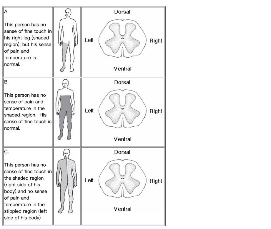 Solved 3. (3 points) Each of the figures below shows a | Chegg.com