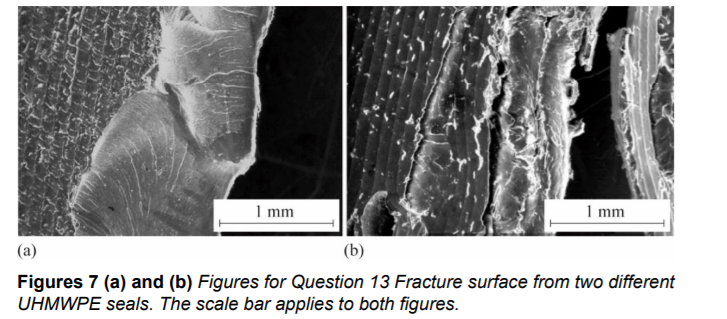 Solved Figures 7 (a) and (b) show scanning electron | Chegg.com