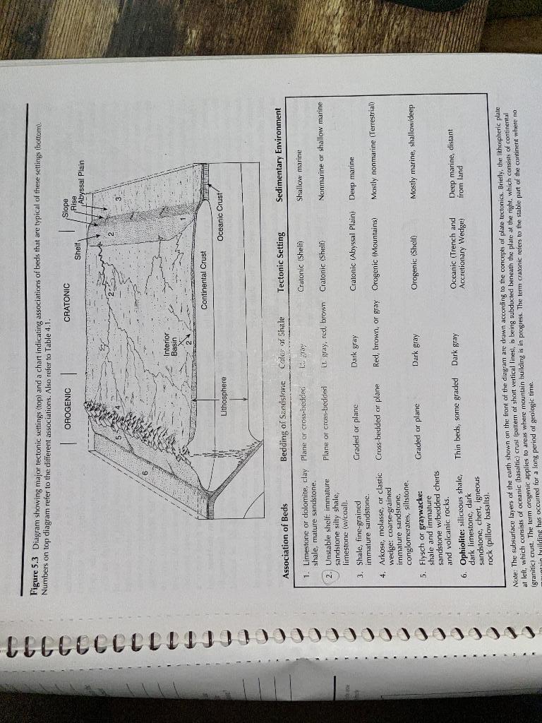 The accompanying image shows beds in the lower | Chegg.com
