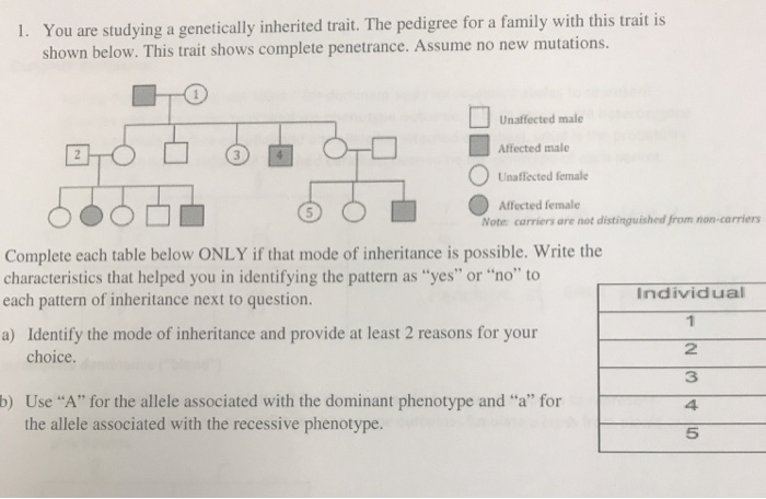 Solved You are studying a genetically inherited trait. The | Chegg.com