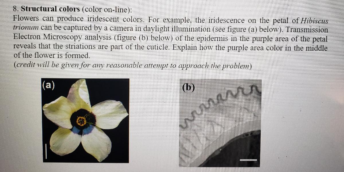 Solved 8. Structural colors (color on-line): Flowers can | Chegg.com