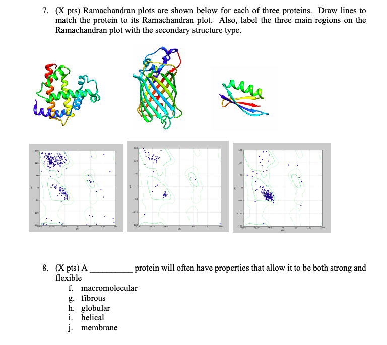 Solved 7. (X pts) Ramachandran plots are shown below for | Chegg.com